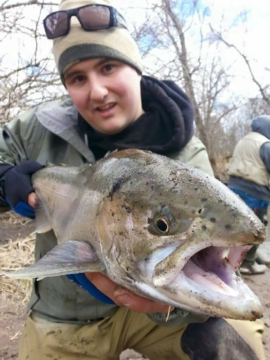 KypeFish